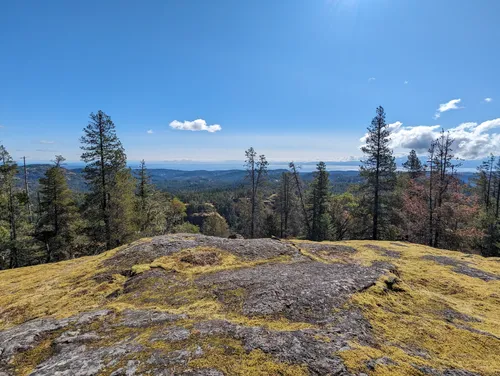 Best Forest Trails in Sooke Mountain Provincial Park | AllTrails