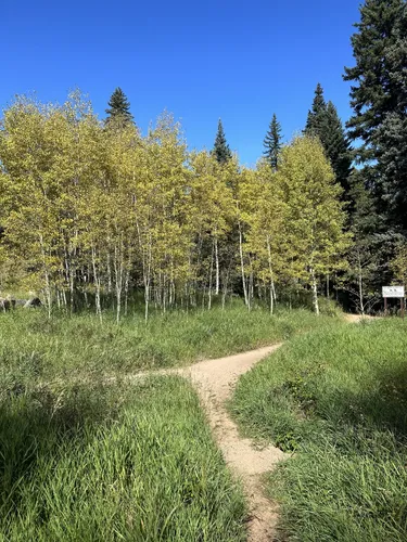 10 Best Trails and Hikes in Conifer | AllTrails
