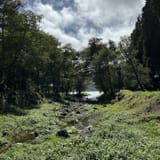 Furnas Lagoon Trail, Azores, Portugal - 300 Reviews, Map | AllTrails