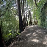 Furnas Lagoon Trail, Azores, Portugal - 300 Reviews, Map | AllTrails