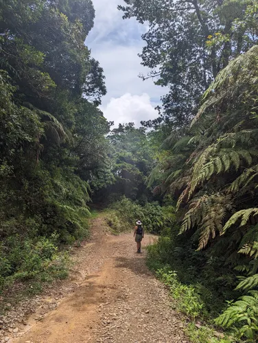 Best Hikes and Trails in Curi-Cancha Reserve | AllTrails
