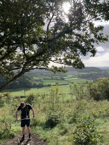 Best Trails, Walks, and Paths in Somerton | AllTrails