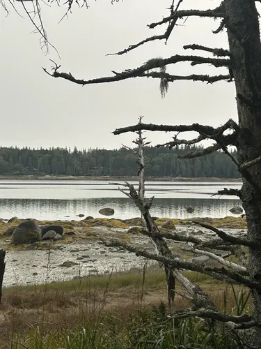 Best Hikes and Trails in Deer Isle | AllTrails