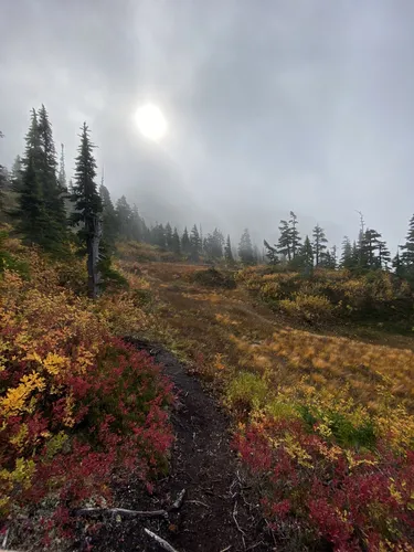 Best River Trails in Terrace | AllTrails