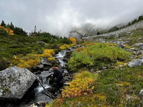 Best River Trails in Terrace | AllTrails