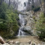 Boulder Creek Falls via Boulder Creek Trail, California - 143 Reviews ...