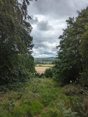 10 Best Short Trails in Surrey Hills National Landscape (AONB) | AllTrails