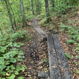 Killington Peak via Bucklin Trail, Vermont - 1,749 Reviews, Map | AllTrails