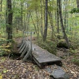 Killington Peak via Bucklin Trail, Vermont - 1,749 Reviews, Map | AllTrails