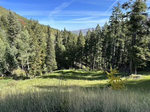 Best Hikes and Trails in Summit Park Open Space | AllTrails