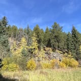 Beaver Brook and Beaver Brook Watershed Loop, Colorado - 818 Reviews ...