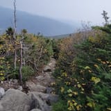 Mount Washington via Huntington Ravine and Lion Head Trail, New ...