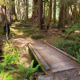 Ancient Groves Nature Trail, Washington - 628 Reviews, Map | AllTrails