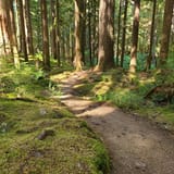 Ancient Groves Nature Trail, Washington - 628 Reviews, Map | AllTrails