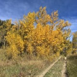 Caribou Ranch Trail, Colorado - 1,325 Reviews, Map | AllTrails