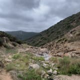 Grasslands Loop Trail, California - 1,408 Reviews, Map | AllTrails