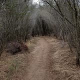 Grasslands Loop Trail, California - 1,408 Reviews, Map | AllTrails