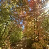 Maple Canyon to Whiting Campground, Utah - 607 Reviews, Map | AllTrails