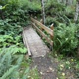 Hummocks Trail, Washington - 943 Reviews, Map | AllTrails