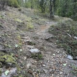 Hummocks Trail, Washington - 943 Reviews, Map | AllTrails