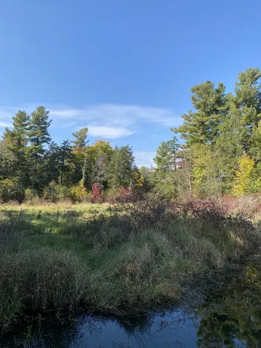 10 Best Trails and Hikes in Kingston | AllTrails