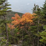 Mount Hunger via Waterbury Trail, Vermont - 1,362 Reviews, Map | AllTrails