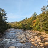 Franconia Falls Trail, New Hampshire - 1,486 Reviews, Map | AllTrails