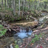 Franconia Falls Trail, New Hampshire - 1,486 Reviews, Map | AllTrails