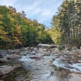 Franconia Falls Trail, New Hampshire - 1,486 Reviews, Map | AllTrails