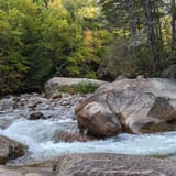 Franconia Falls Trail, New Hampshire - 1,486 Reviews, Map | AllTrails