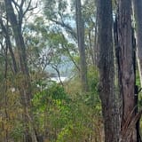 Enoggera Reservoir Circuit, Queensland, Australia - 1,540 Reviews, Map ...