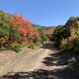 Ghost Falls Trail, Utah - 444 Reviews, Map | AllTrails