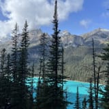 Fairview Lookout Loop, Alberta, Canada - 455 Reviews, Map | AllTrails