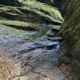 Turkey Run Outer Loop, Indiana - 618 Reviews, Map | AllTrails