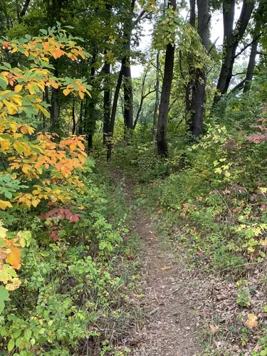 Best Hikes and Trails in Trine State Recreation Area | AllTrails