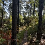 Pin-Chin-Sky Loop, Alabama - 677 Reviews, Map | AllTrails