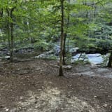 Pin-Chin-Sky Loop, Alabama - 677 Reviews, Map | AllTrails