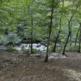 Pin-Chin-Sky Loop, Alabama - 677 Reviews, Map | AllTrails