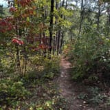 Pin-Chin-Sky Loop, Alabama - 651 Reviews, Map | AllTrails