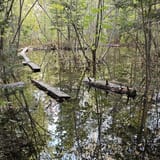 South Branch Pond Loop, Maine - 69 Reviews, Map | AllTrails