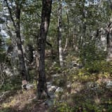 Pin-Chin-Sky Loop, Alabama - 631 Reviews, Map | AllTrails