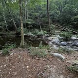 Pin-Chin-Sky Loop, Alabama - 686 Reviews, Map | AllTrails