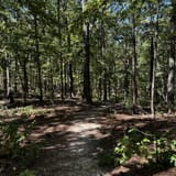 Pin-Chin-Sky Loop, Alabama - 631 Reviews, Map | AllTrails