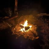 Pin-Chin-Sky Loop, Alabama - 634 Reviews, Map | AllTrails