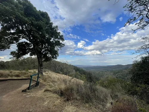 10 Best Walking Trails in Bunya Mountains National Park | AllTrails