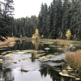 Waskesiu River Trail, Saskatchewan, Canada - 173 Reviews, Map | AllTrails