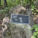 Besser Natural Area Loop, Michigan - 94 Reviews, Map | AllTrails