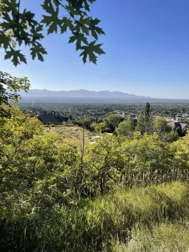 10 Best Trails and Hikes in Sandy | AllTrails