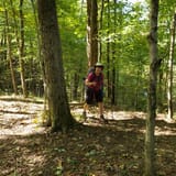 Two Lakes Loop Trail, Indiana - 499 Reviews, Map | AllTrails