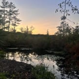 Great Swamp Trail, Rhode Island - 851 Reviews, Map | AllTrails